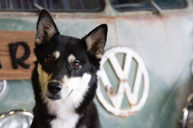 About | Snow, Mountain, River